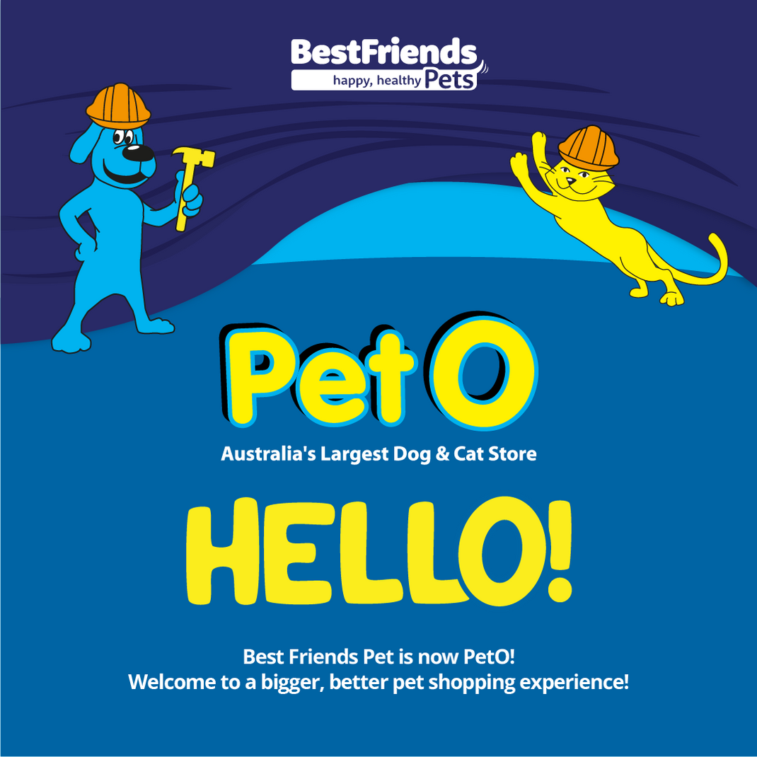 Best Friends Pets | The Best in Pet Care and Pet Supplies
